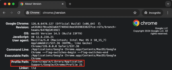 A Developer's Guide to Locating Chrome Extension Files - codemaga